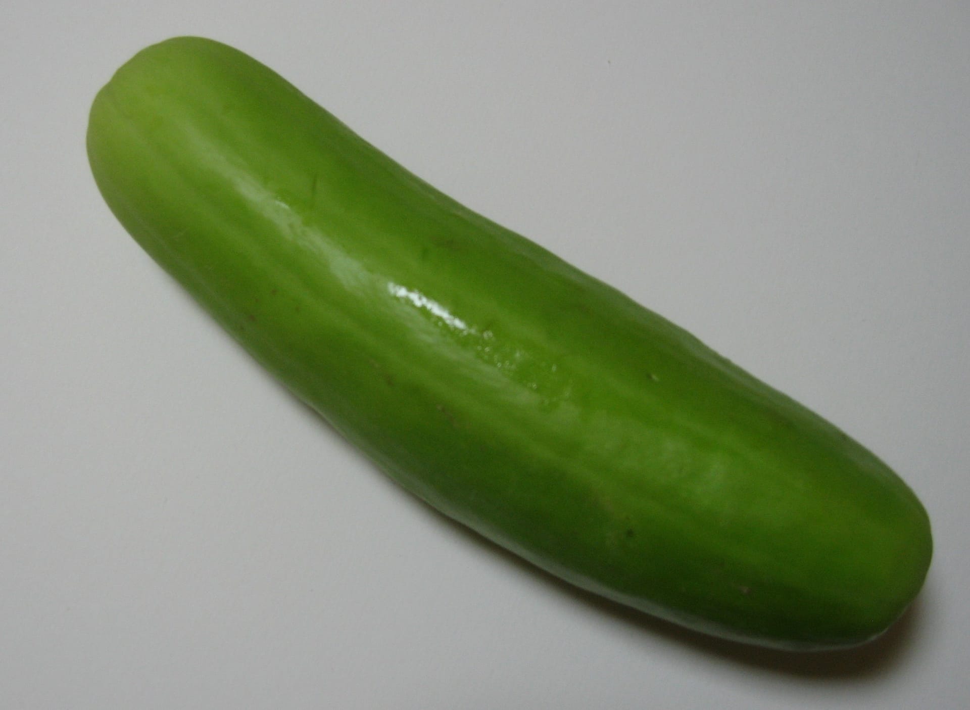 Katsura Giant Pickling Melon - Gaia Organics