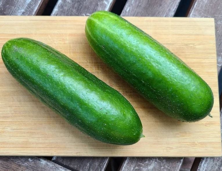 Muncher Cucumber - Gaia Organics